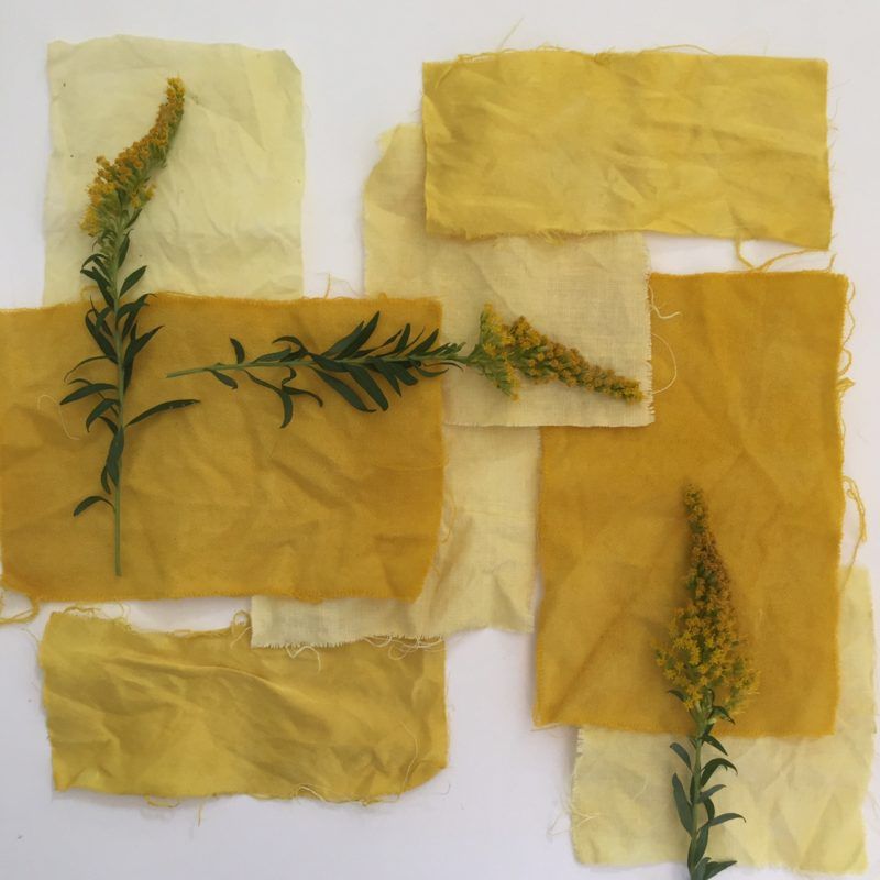 Medieval fabrics and the use of colour, part 2 - Postej & Stews